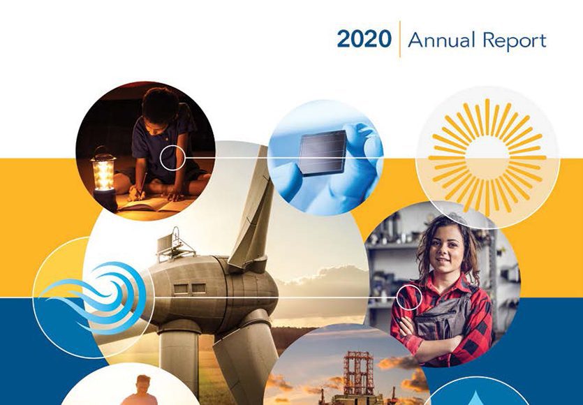 Reports - Consumer Energy Alliance