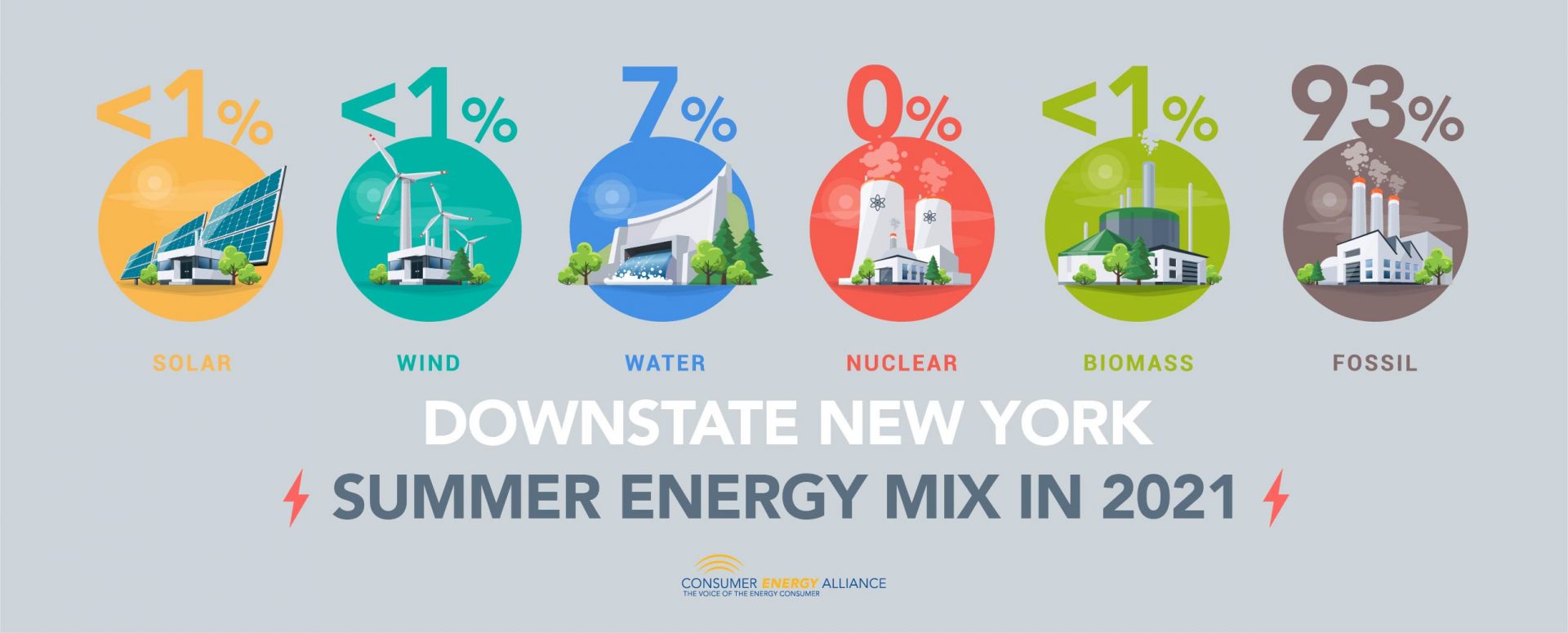 State of Play in New York - Consumer Energy Alliance